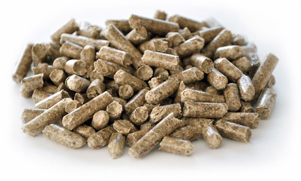 Fabrication et livraison de granulés de bois près de Roanne